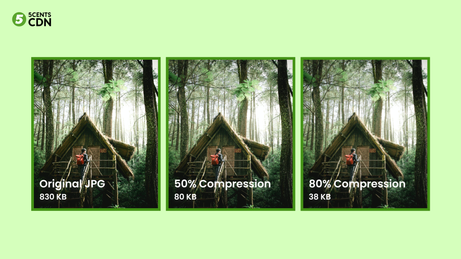 Adaptive Image Compression: An Innovative Way to Enhance Image Quality – 5centsCDN | Video Live ...