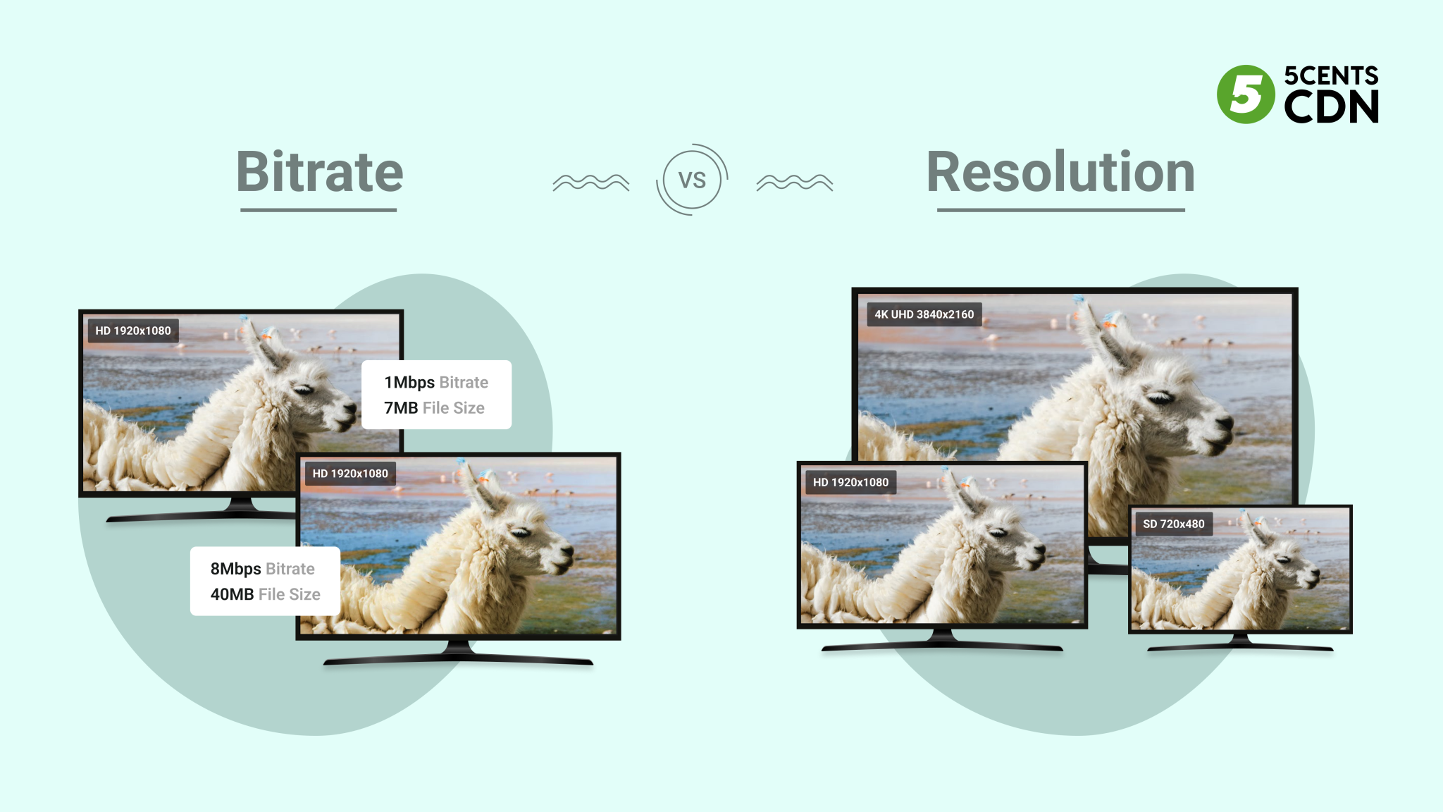 What Is Bitrate The Key To Understanding Media Quality What Is Bitrate The Key To Understanding Media Quality