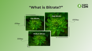 What is Bitrate? The Key to Understanding Media Quality